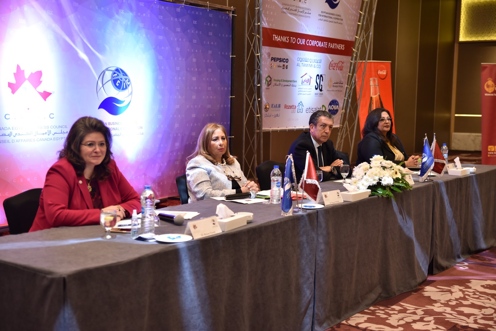 “The Role of Microfinance in Reducing Poverty and Achieving Sustainable ...