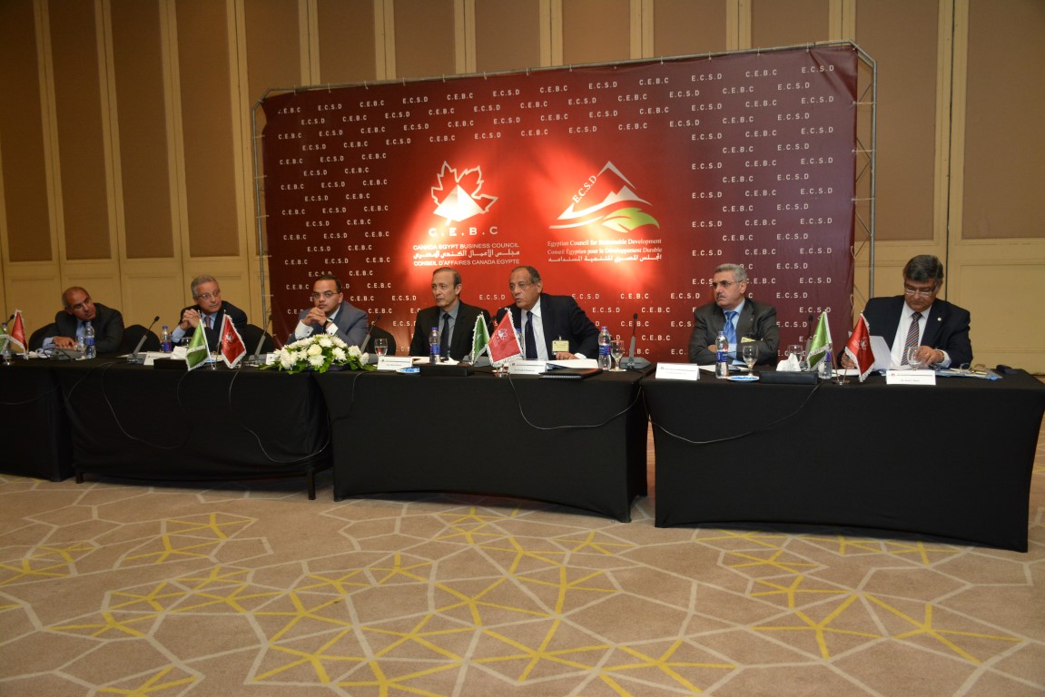 The new investment law .. Opportunities and Challenges | Canada Egypt ...
