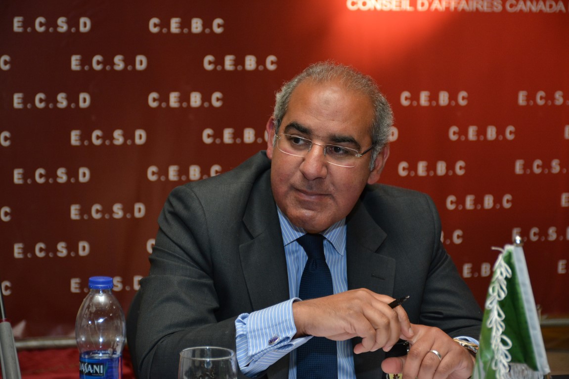 The new investment law .. Opportunities and Challenges | Canada Egypt ...