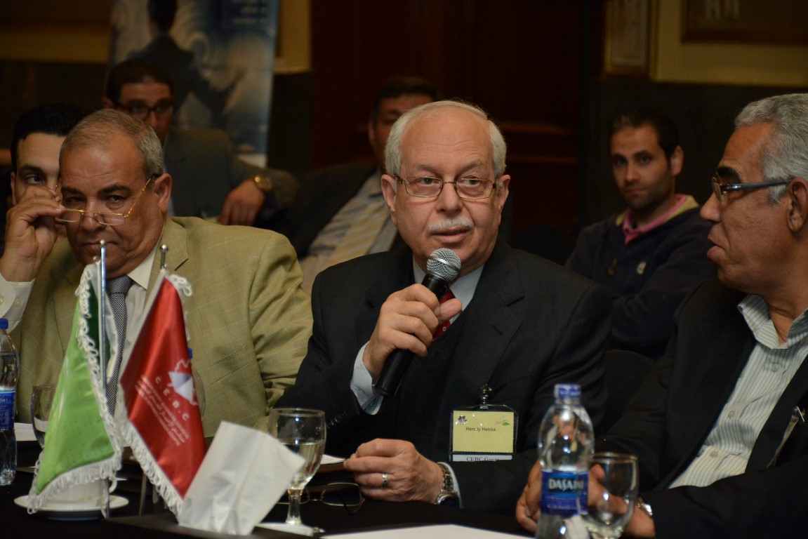 The new investment law .. Opportunities and Challenges | Canada Egypt ...