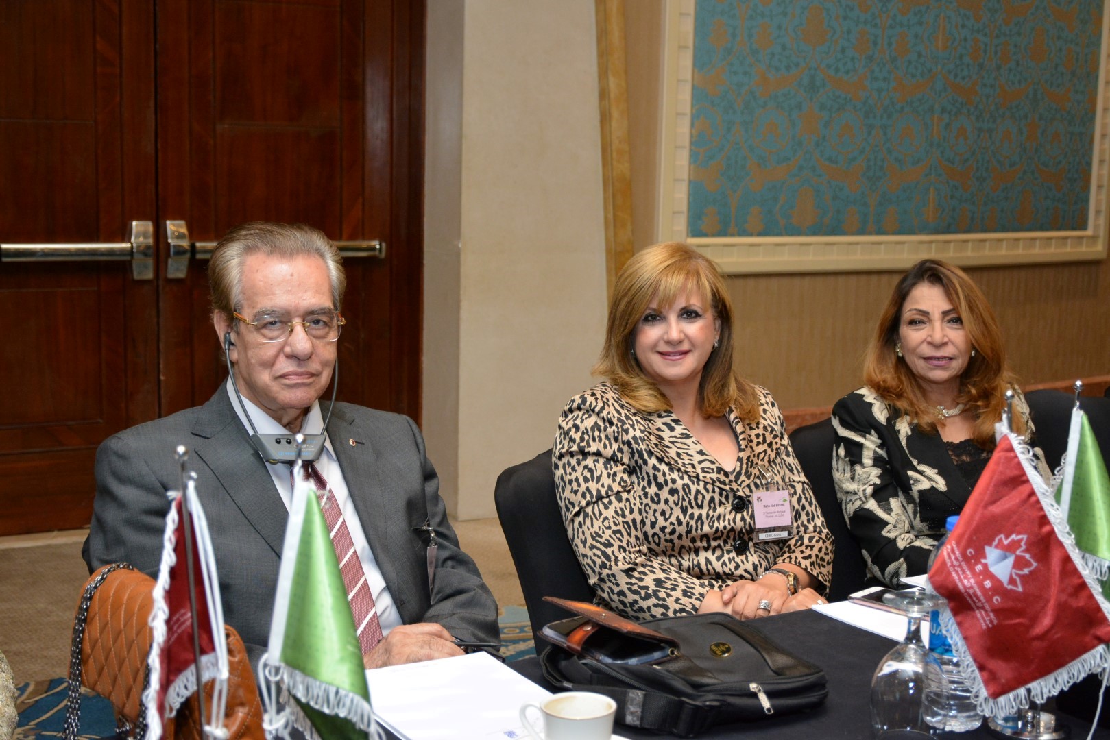 Energy projects in Egypt... Opportunities and challenges | Canada Egypt ...