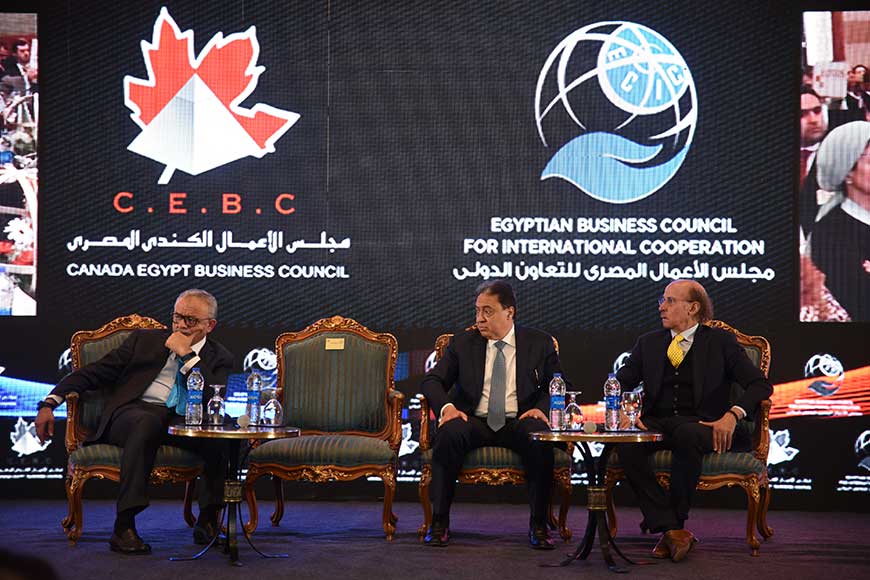 Reforming the Health System in Egypt .. Challenges and Solutions ...
